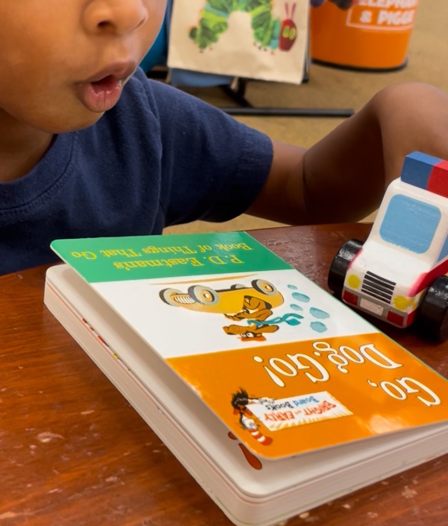 Is Glenn Doman’s Method Just the Look-Say Method in Disguise? Let’s ...